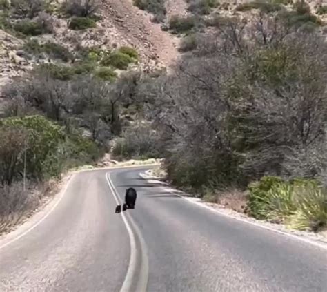 Muhammad Ramzan On Linkedin Repost Networking Inspiration Motivation Mentor Coach Coaching