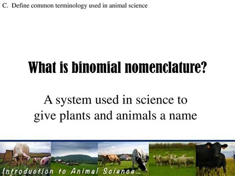 Binomial Nomenclature Definition
