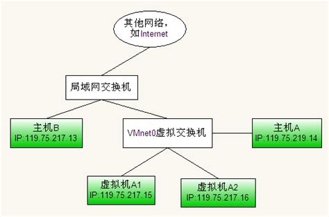 Vmware虚拟机网络nat和桥接的区别 熊猫可可z 博客园