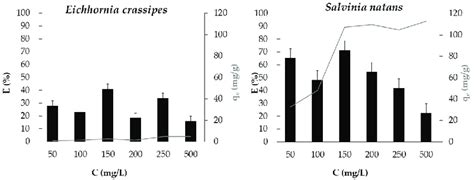 This Influence Of The Initial Ebt Dye Concentration On The Download Scientific Diagram