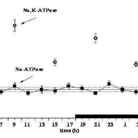 Enzyme Activity Over Time Of Na Atpase And Nak Atpase In Homogenates