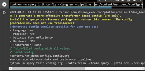 Custom Named Entity Recognition Ner Model With Spacy 3 In Four Steps