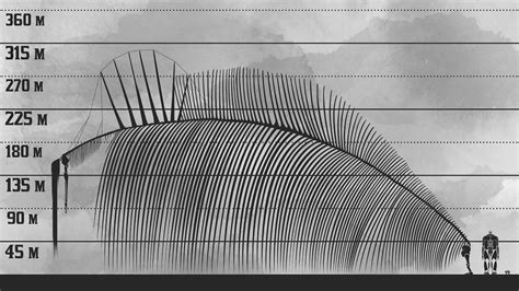 The Best 13 Eren Skeleton Founding Titan Size Rusty Wallpaper