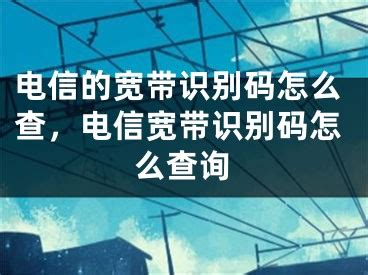 电信的宽带识别码怎么查电信宽带识别码怎么查询 阳泰网络
