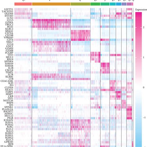 Characteristics Of The Cell Subsets A Annotated Cell Subsets B Download Scientific