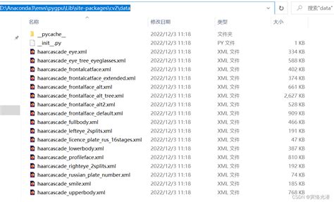 Opencv自带的haar级联分类器对脸部人脸、猫脸等的检测识别haarcascade Csdn博客