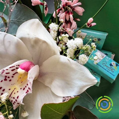 Getbybus On Linkedin Companyculture Internationalwomensday2024 Equalitymatters Equality