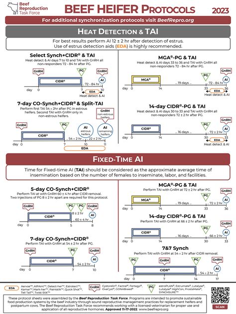 Beef Heifer Synch Protocols Select Sires Beef