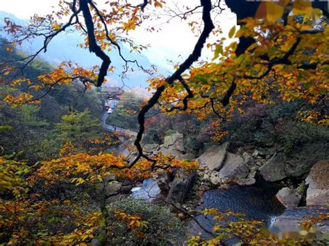 火火火：央视报道彝良小草坝秋景 搜狐大视野 搜狐新闻