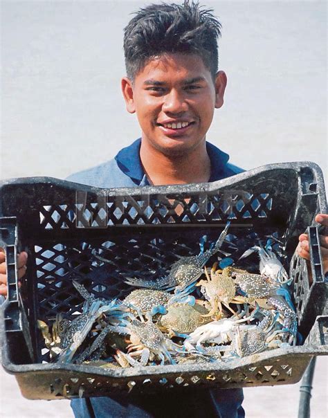 Pembeli Emas Terpakai 013 3410018 Adib Ketam Bunga Sudah Merajuk