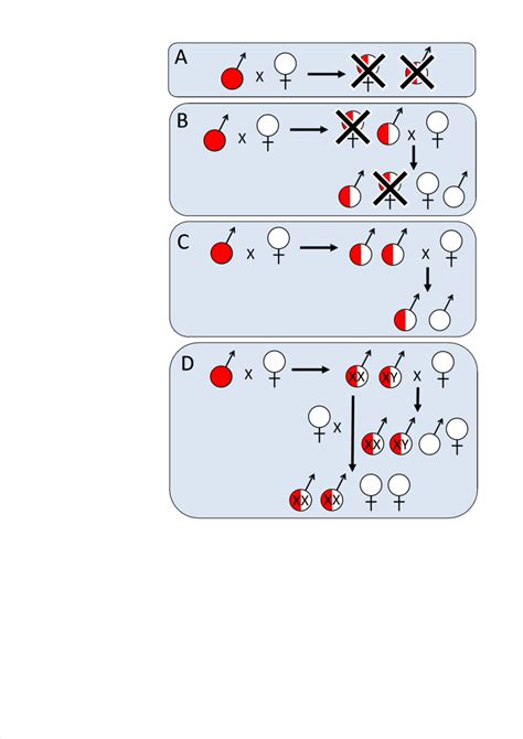 Inheritance And Effects Of Self Limiting Population Suppression