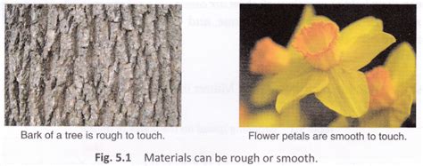Sorting Materials Into Groups CBSE Library