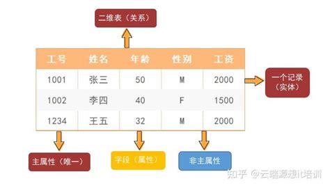 关系型数据库是什么，有哪些特点和应用？ 知乎