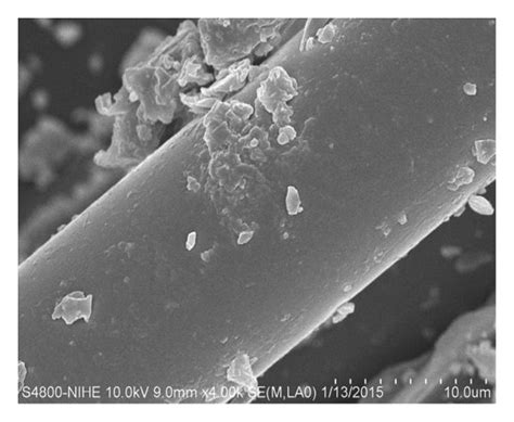 Fe Sem Micrographs Of Fractured Fiber Of Ae Glassepoxy Composites