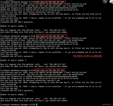 Mysql数据库之mha高可用mysql高可用 Mha Csdn博客