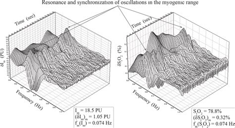 Typical Example Of The 3d Wavelet Analysis Of Resonating And