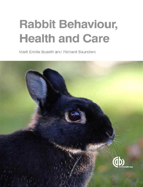 Rabbit Behaviour Health And Care Vetbooks
