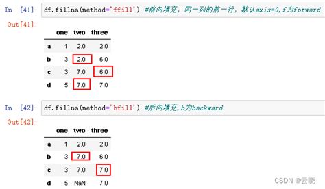 Python学习——缺失值、重复值处理及替换dffillnavalue Csdn博客