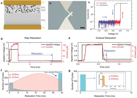 The Relaxation Behavior Of A Diffusive Memristor With A Double Oxide