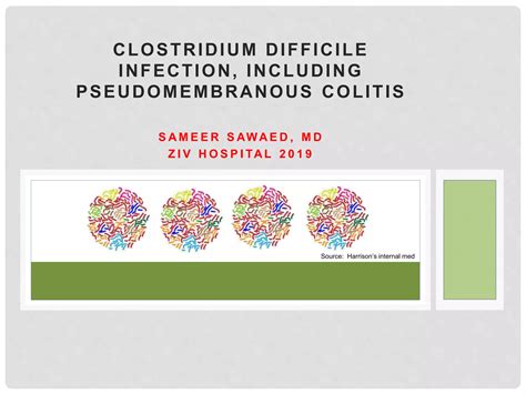 Clostridium Difficile Pptx