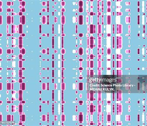 Nucleotide Structure Photos And Premium High Res Pictures Getty Images