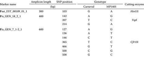 Detected Single Nucleotide Polymorphisms Within Sequence Tagged Site Download Scientific