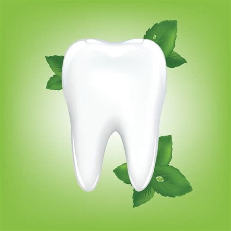 Tooth Vector Images Over 130 000