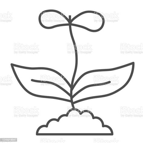 두 개의 꽃잎 얇은 라인 아이콘 꽃 개념 흰색 배경에 봄 꽃 기호 모바일 개념 및 웹 디자인에 대한 윤곽 스타일의 꽃 아이콘을 성장 벡터 그래픽 검은색에 대한 스톡 벡터