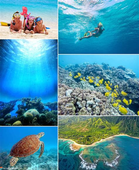 Snorkel Tour Kauai At Kim Spruill Blog
