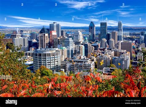 🔥 [30 ] Montreal City Wallpapers Wallpapersafari Ikumen