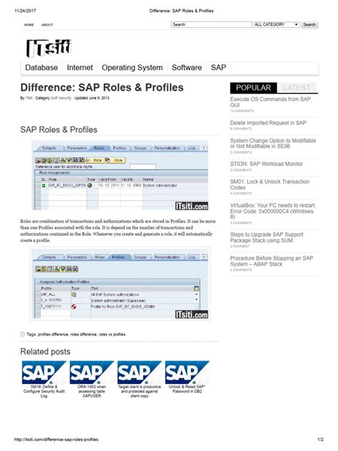 Difference Sap Roles And Profiles Pdf Computer Architecture Computing