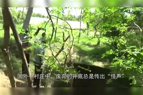 地砖下频频传出异响男子撬开地砖后瞬间不淡定了