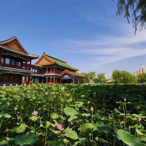 文明网评｜让文明创建与群众福祉紧密相连城市工作人民