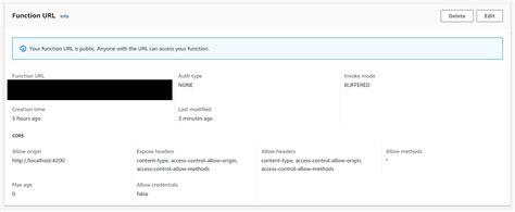 Amazon Web Services Aws Lambda Function Url Cors Allow Origin Is Not Working Properly