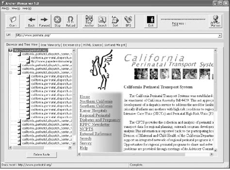 The Tree Structure With Weights And The Browser Session Of Anchor Woman Download Scientific