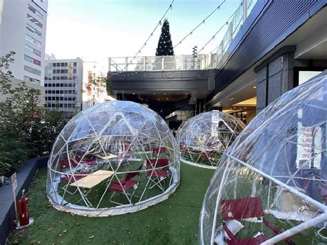 투명한 돔 카페 텐트저렴한 가격 투명한 돔 카페 텐트 구매