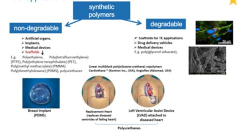 Polymers Flashcards Quizlet Polymers Flashcards Quizlet