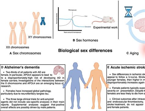 Sex Differences In Age Associated Neurological DiseasesA Roadmap For Reliable And High Yield