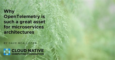 Suraj Narwade On Linkedin Why Opentelemetry Is Taking Cloud Native To New Heights Cloud Native