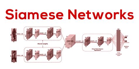 重构输入和少样本学习：暹罗网络 暹罗网络和小样本学习 csdn博客