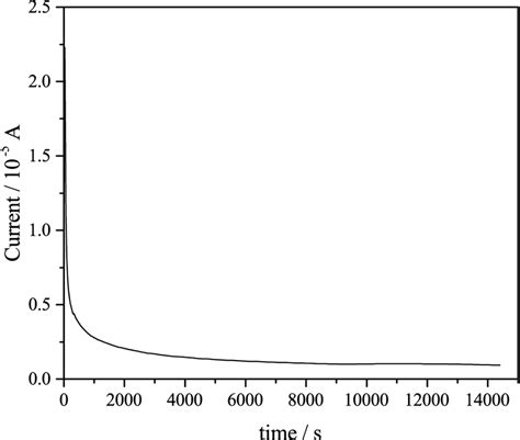 Dc Polarization Test With Blocking Ss Electrodes Under A Dc Potential