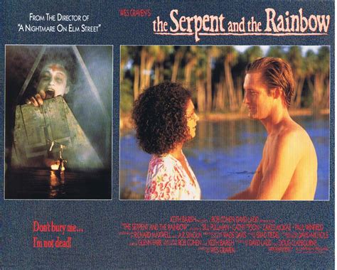 The Serpent And The Rainbow Original Lobby Card 5 Wes Craven Bill