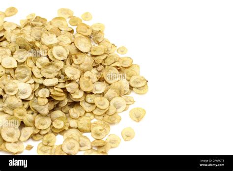 Pile Of Parsnip Seeds On A White Background Parsnip Seeds Top View