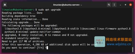 如何在 linux 中使用 apt 命令管理包 apt search csdn博客