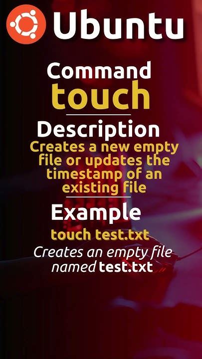 How To Create A File In Ubuntu Server Youtube