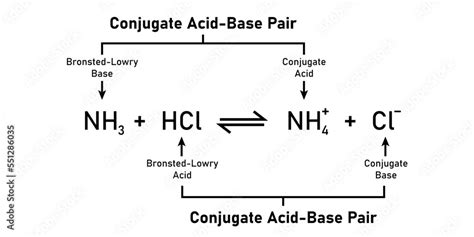 Bronsted Lowry Acid Base Reaction Theory Scientific Vector