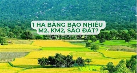 Hecta Là Gì Tính Hecta đất Trong Bất động Sản Như Thế Nào Mới đúng