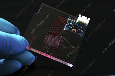 Lab On A Chip Stock Image F Science Photo Library Lab On A Chip Stock Image F Science Photo Library