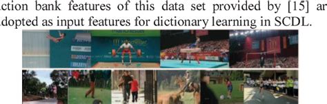 Figure 1 From Supervised Class Specific Dictionary Learning For Image