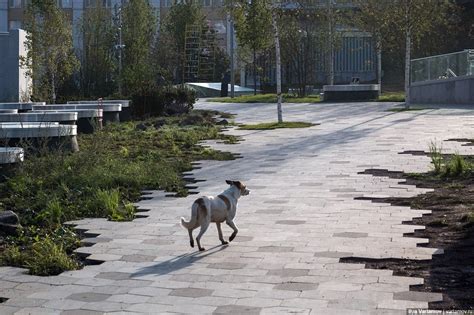 Что стало с Зарядьем через неделю после открытия — Teletype